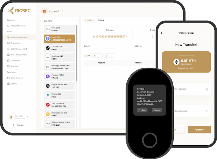 Regulatory-Compliant Digital Asset Self-Custody Solutions | RigSec